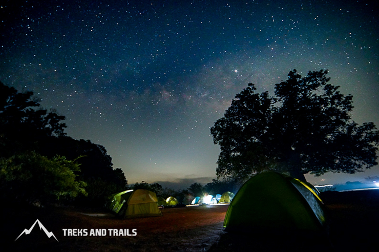 Treks and Trails Lights Up Maharashtra with Fireflies Festival 2025: A ...